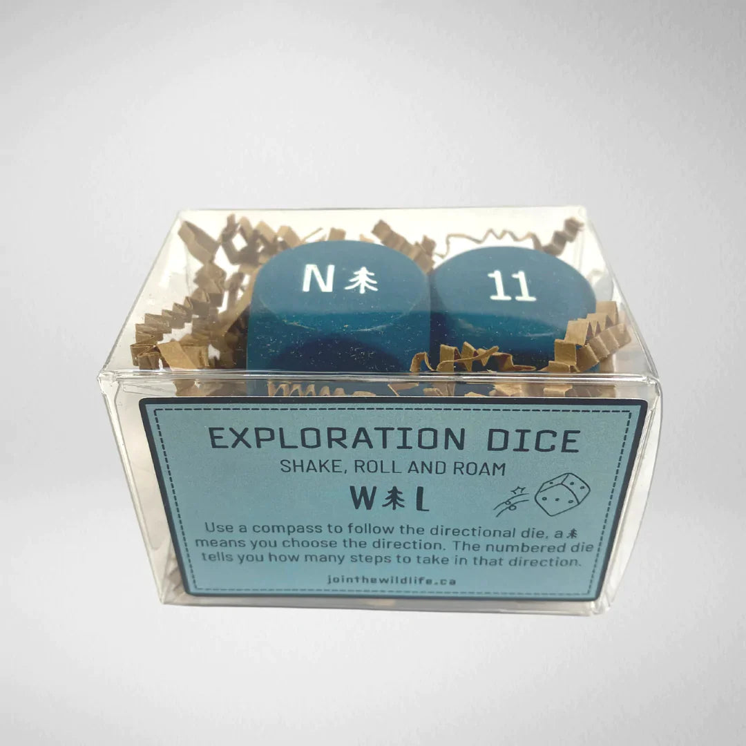 Exploration Dice – Mountain Littles Baby + Kids Boutique